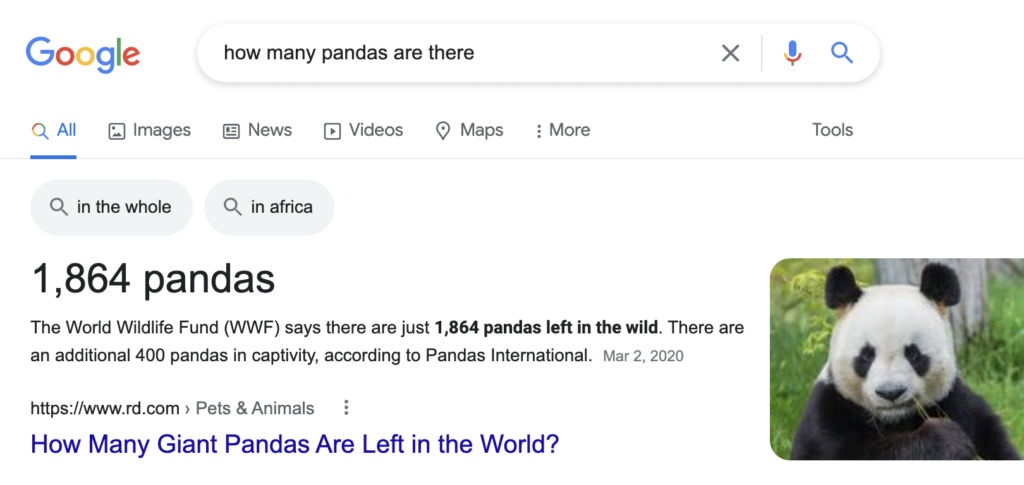 What is Intelligent Search? | XAPPAI